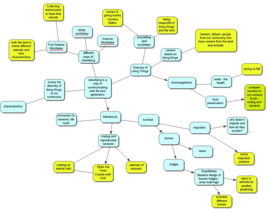 Making Sense of Curriculum Through Mapping – Terry Johanson Consulting